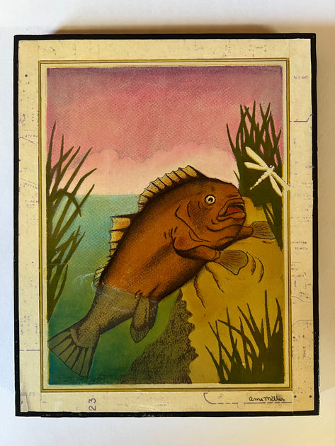 Darwin Fish 2 – Arna Miller Designs, LLC